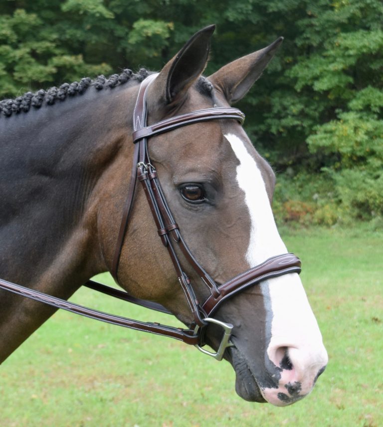HUNTER BRIDLES