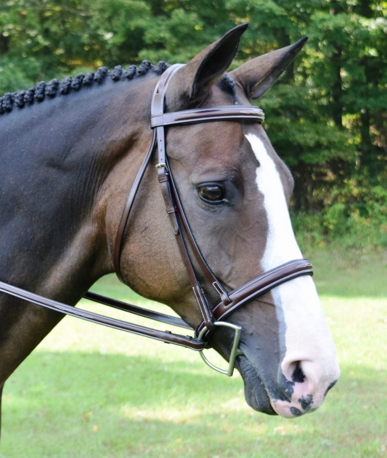 HUNTER BRIDLES