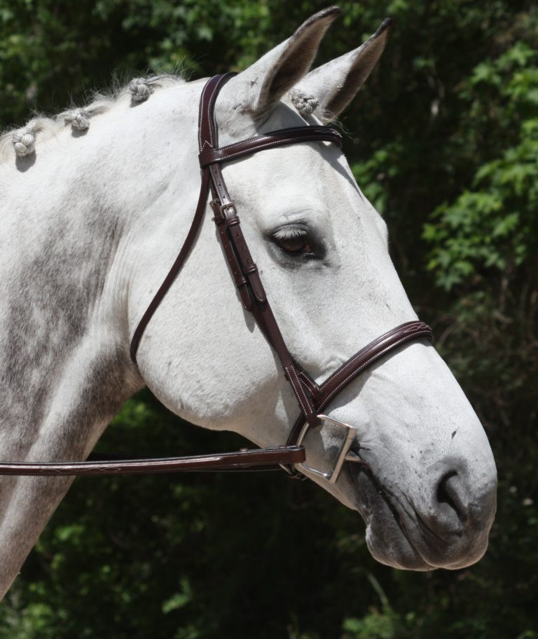 HUNTER BRIDLES
