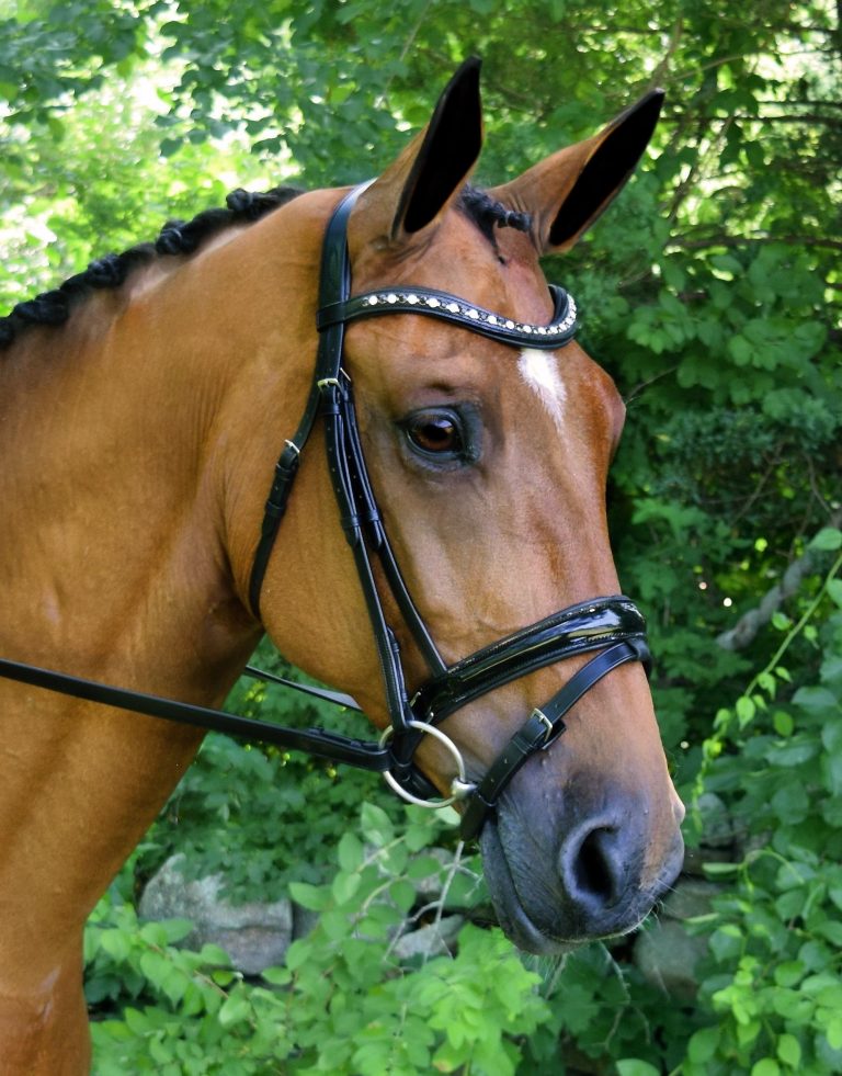 BRIDLES