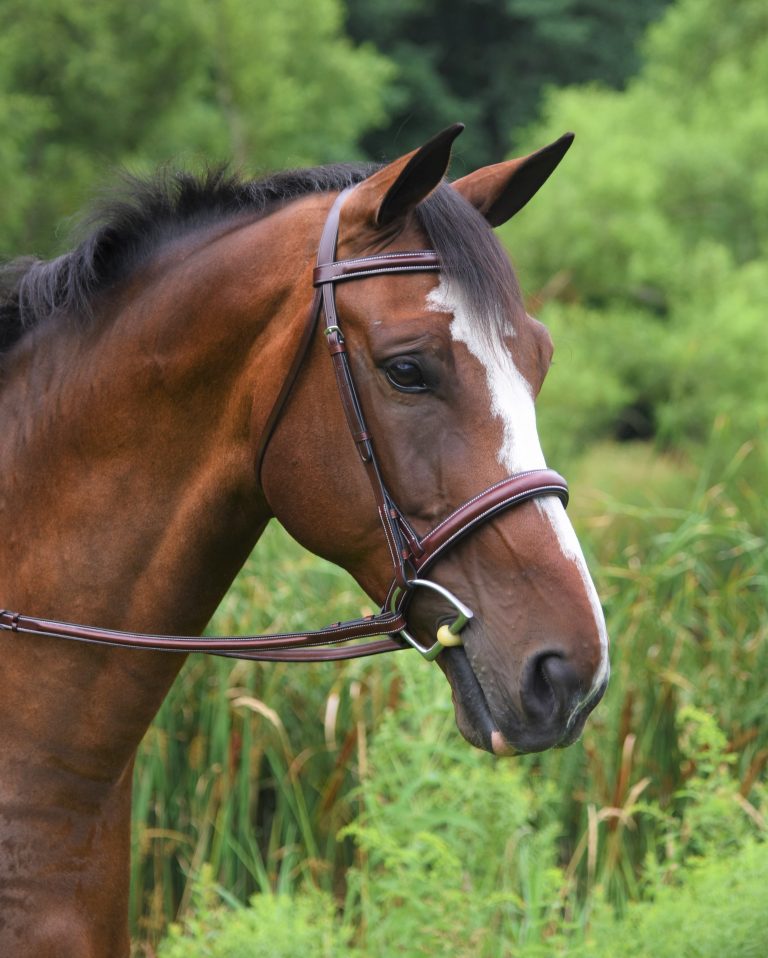 HUNTER BRIDLES