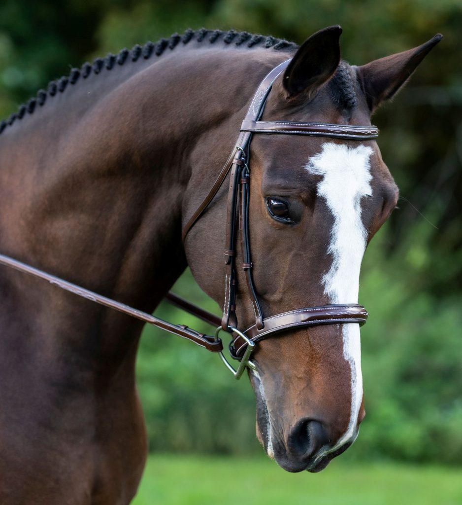 HUNTER BRIDLES