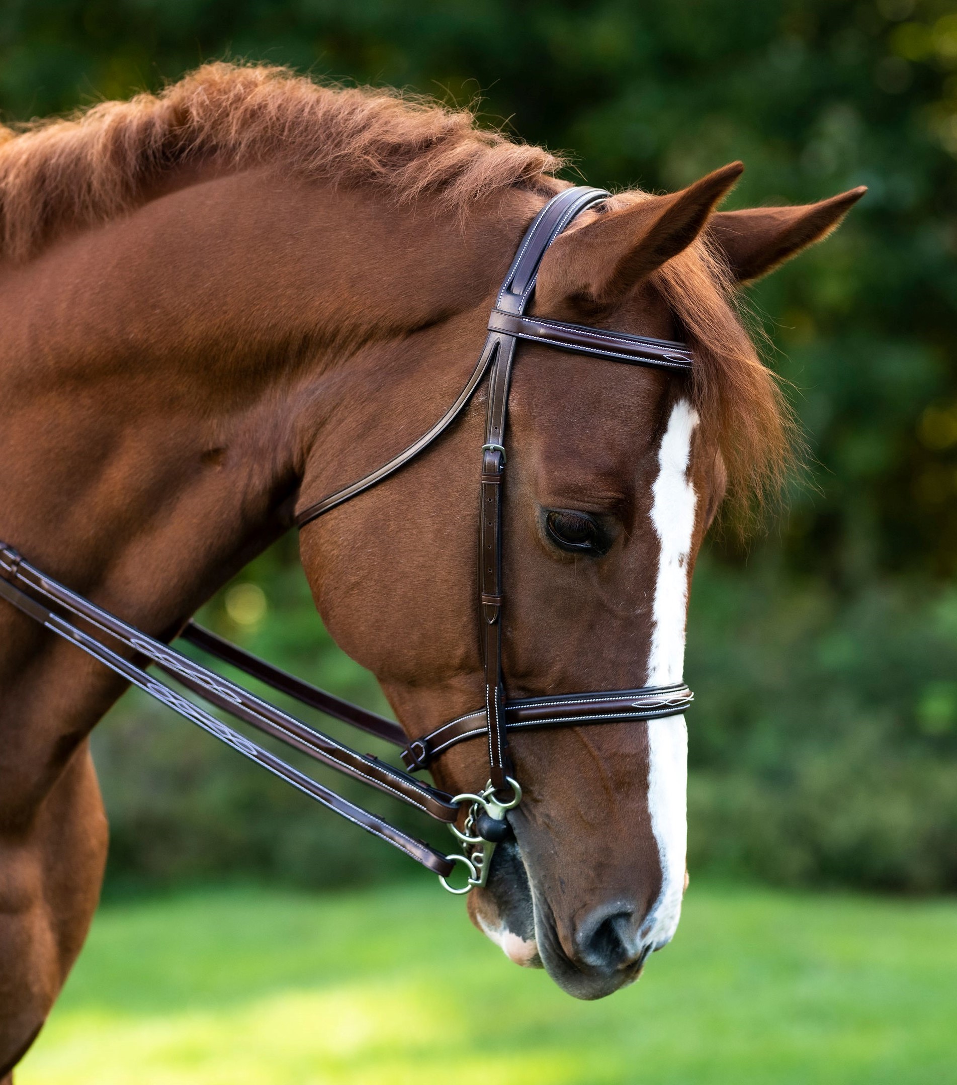 HUNTER BRIDLES
