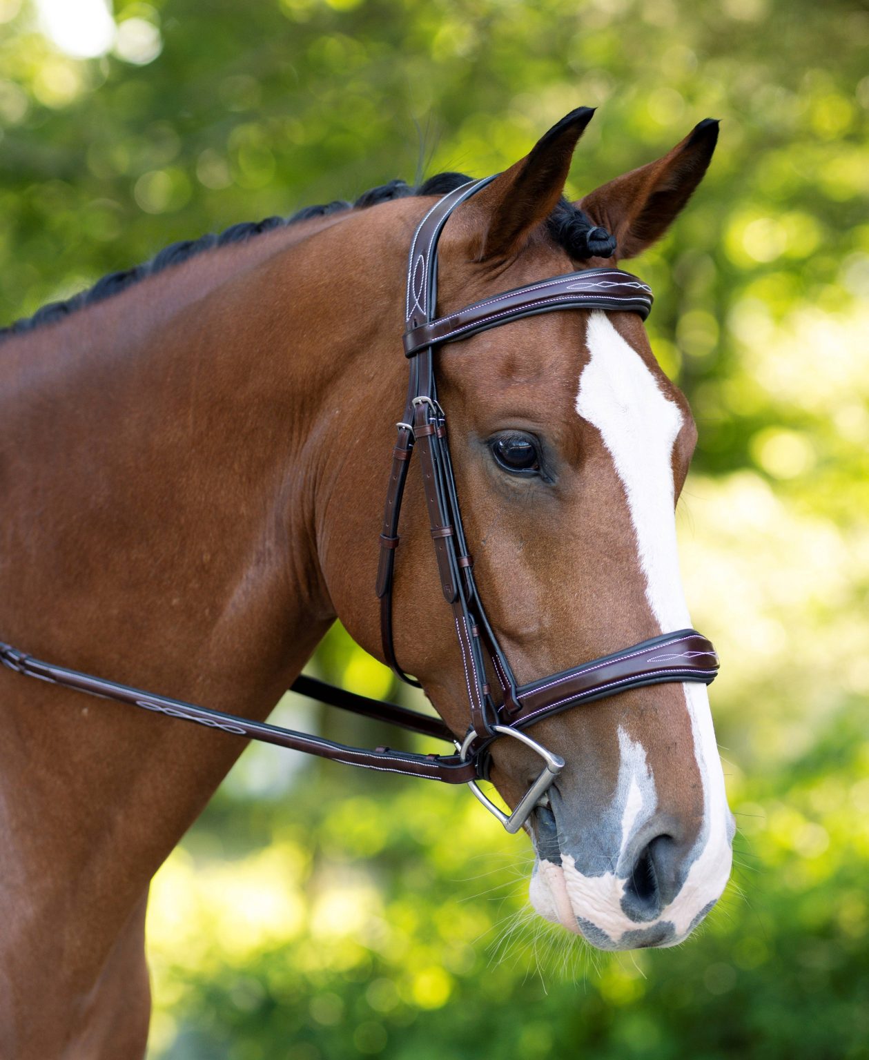 HUNTER BRIDLES
