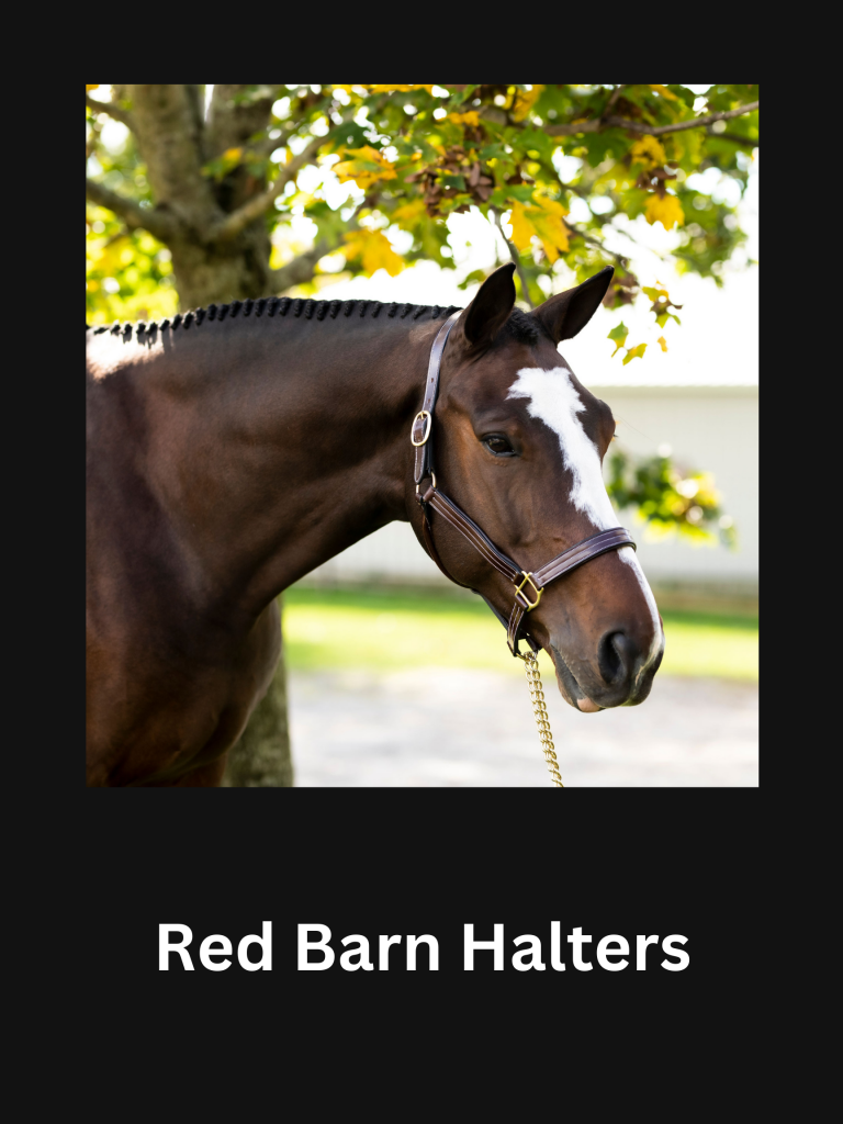 Home [www.klselect.com]