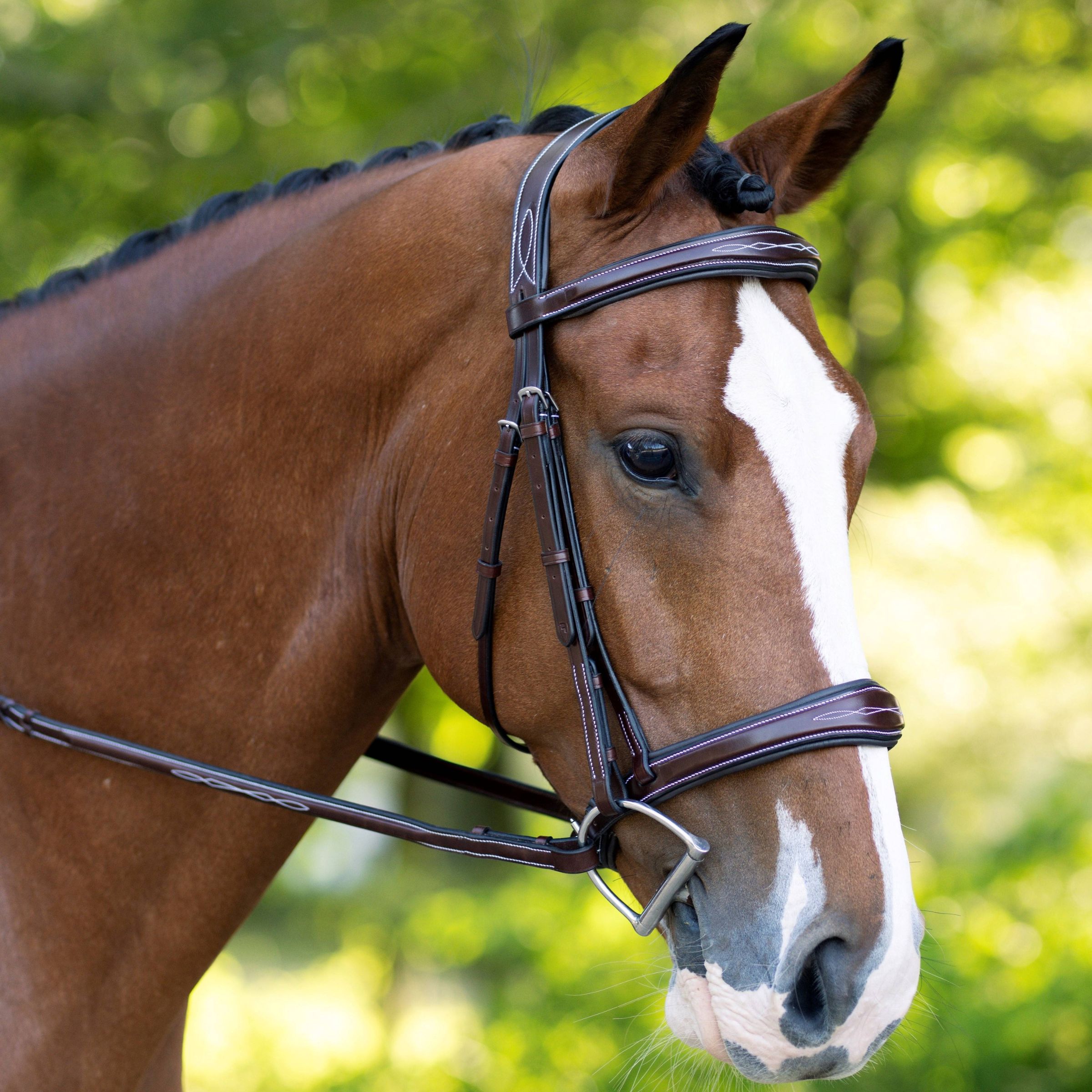 HUNTER BRIDLES