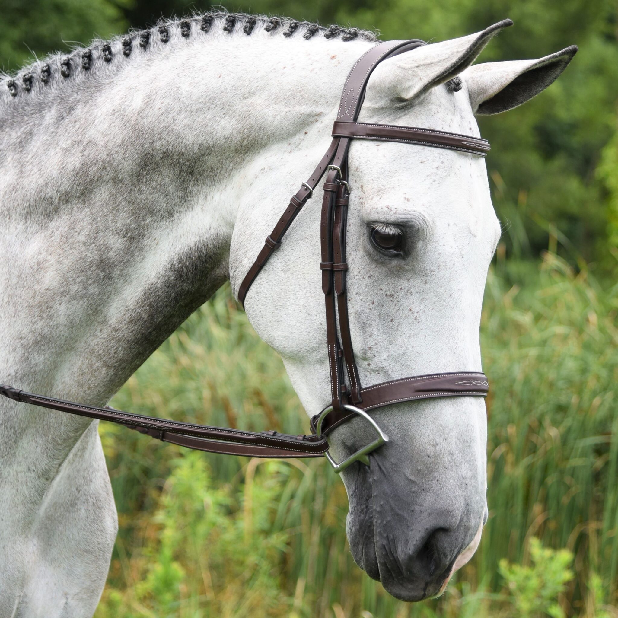 HUNTER BRIDLES