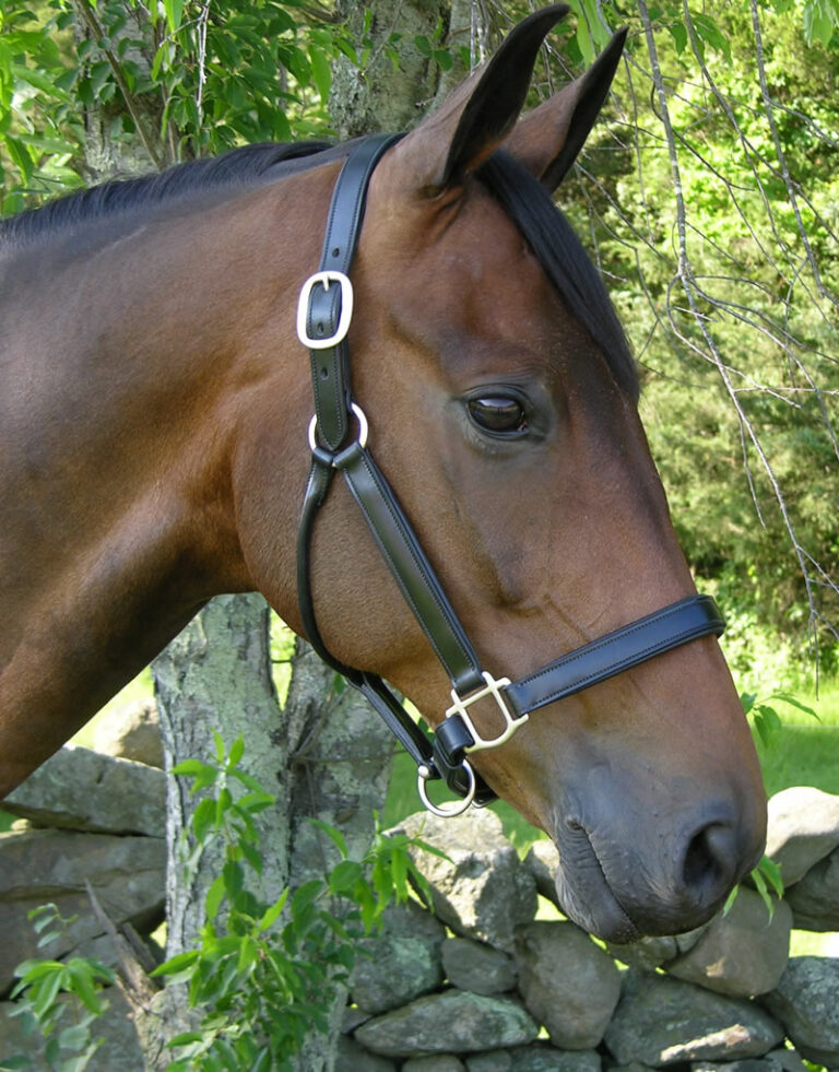 Leather Halters
