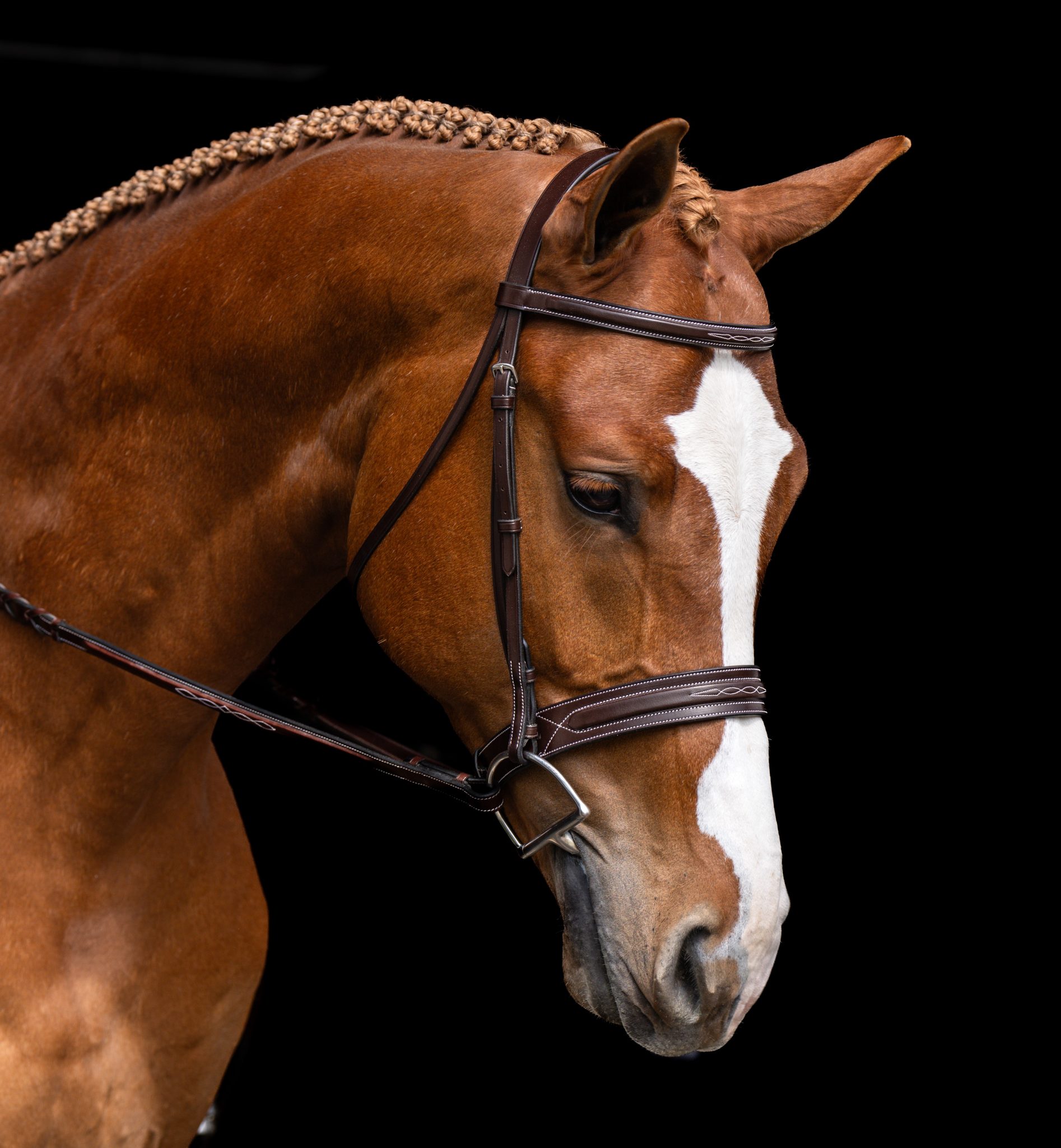HUNTER BRIDLES