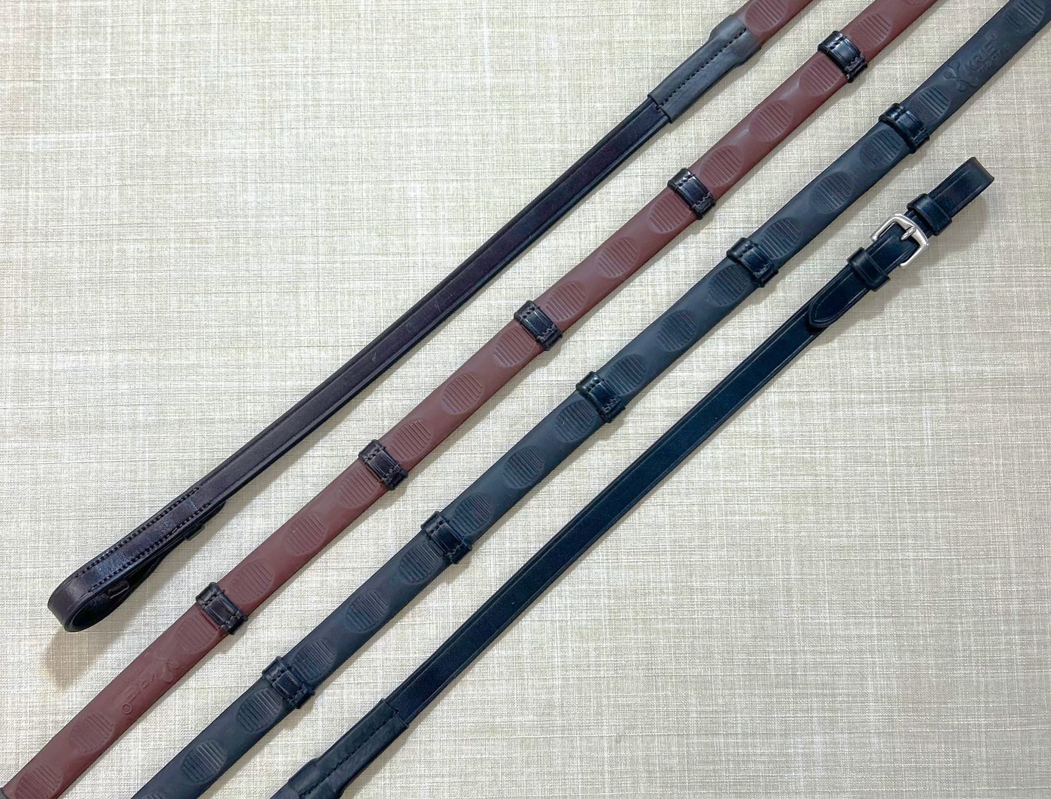 Reins